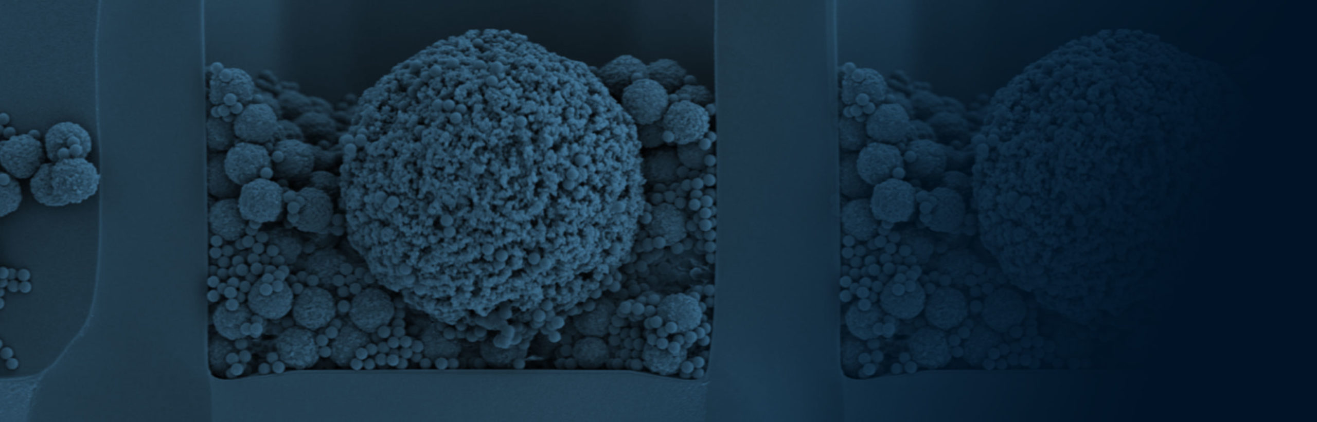 Fiber Optic Microwell Arrays / Gather High-Speed, High-Density Direct ...